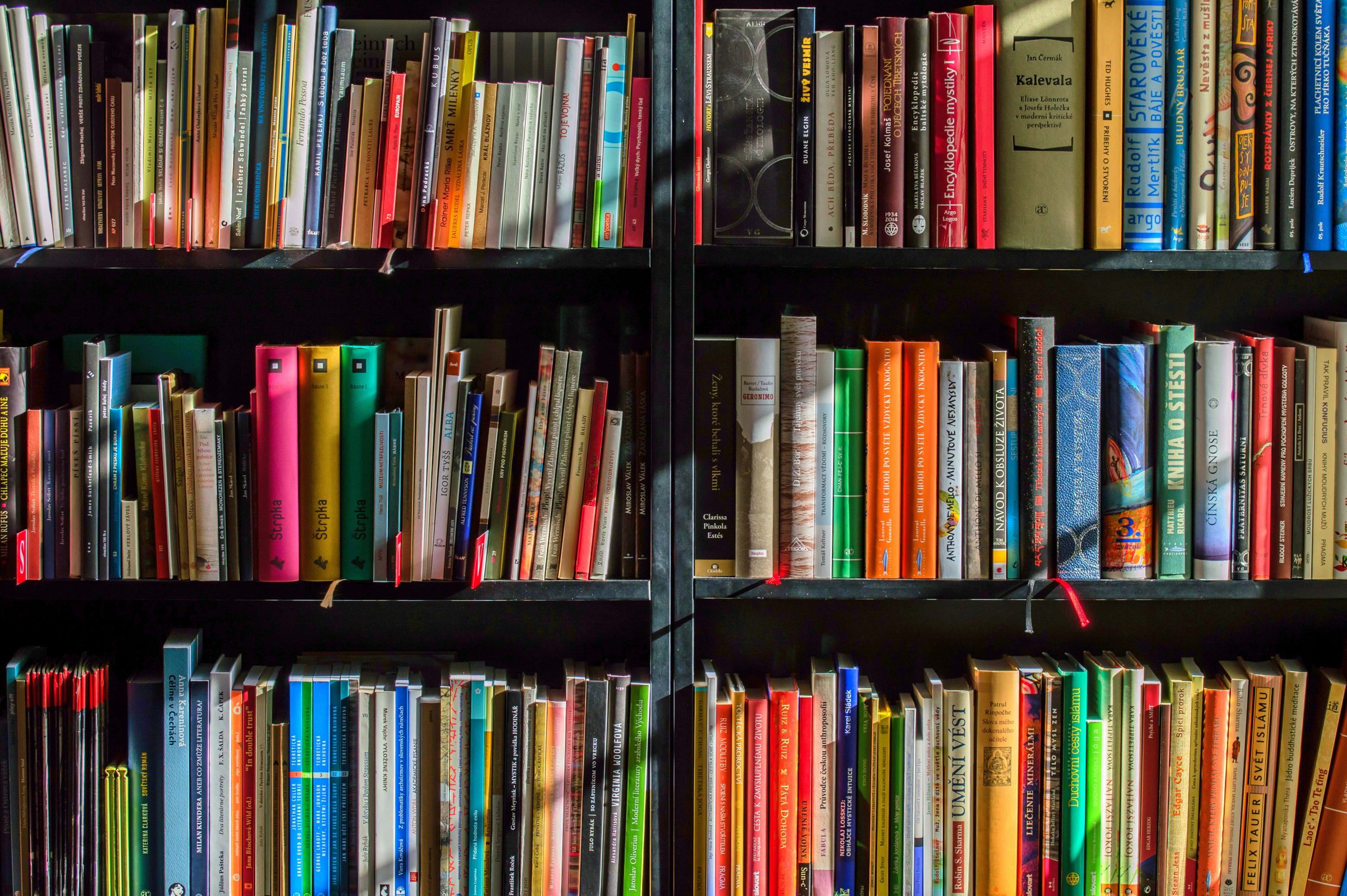 Auto da leggere: i migliori libri sulle automobili del 2020 - Il Club ...